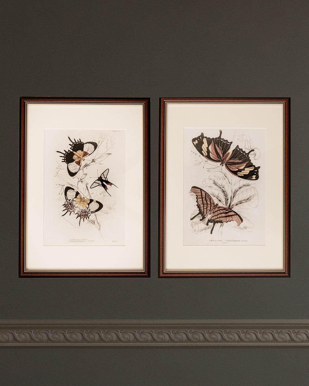 Frames