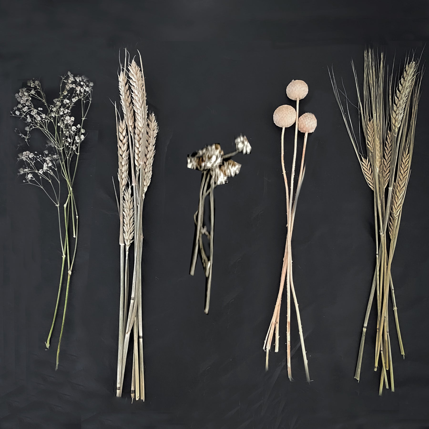 Mali Mango Wood Dried Flower Bar - Neutrals - Small